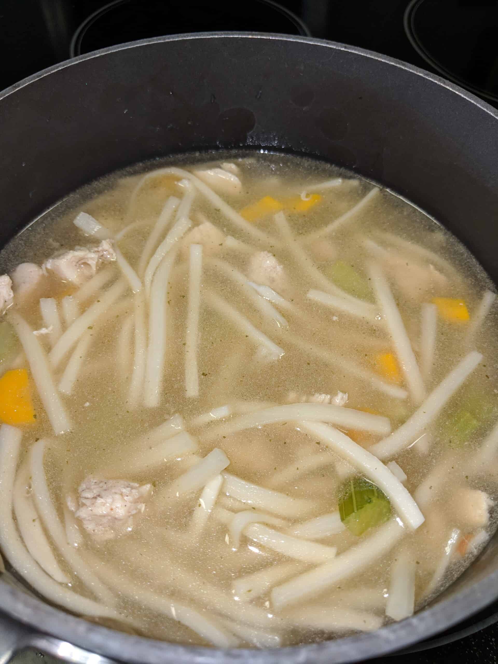 Palmini Chicken Noodle Soup - Low Carb